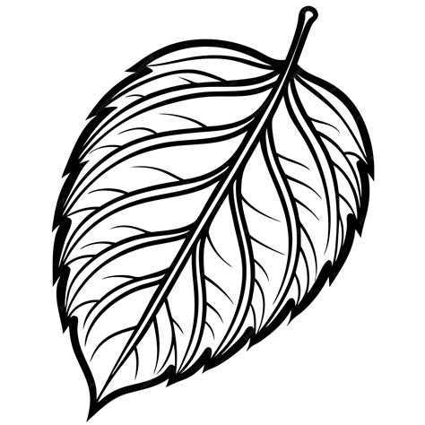 잎 윤 색칠 페이지 실루 터 프리미엄 벡터