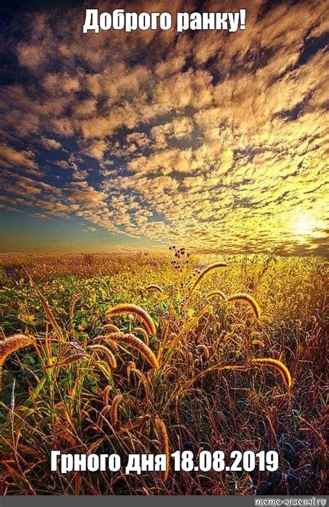 Создать мем поле фото фото поле с пшеницей на закате пшеничное поле Картинки Meme