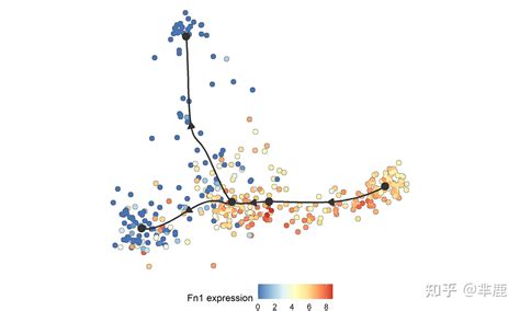 单细胞拟时分析 Dyno 如何选择合适的拟时轨迹推断分析方法？ 知乎