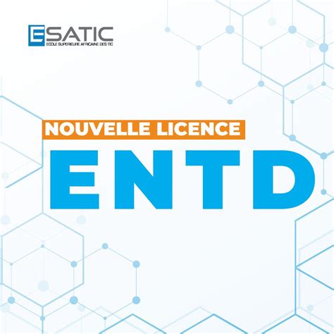 Licences Esatic Découvrez Toutes Nos Formations De Licence