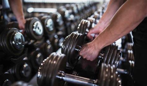 The Ultimate Ectomorph Workout Plan With Pdf This Is Why Im Fit