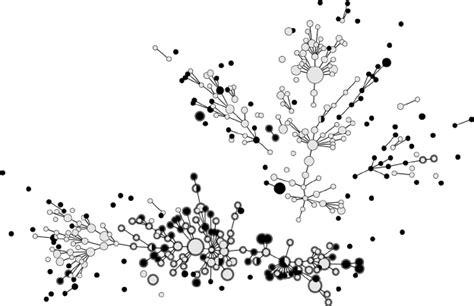 minimum spanning tree clustering of mlva profiles from swedish e coli