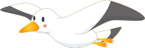 Seagull Illustration Ok