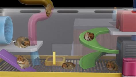 Why Are My Pictures Duplicating At Taj Mccrone Blog