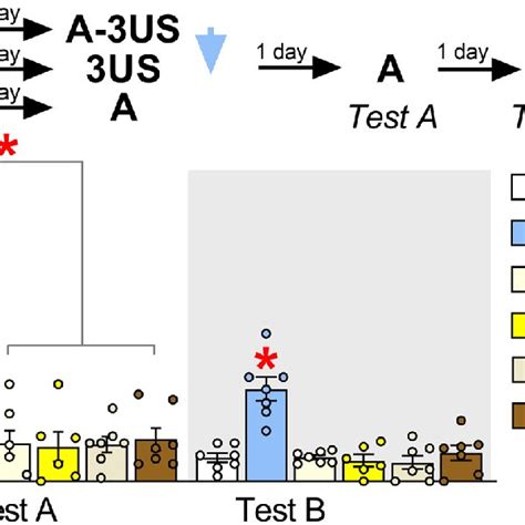 Jasp Output Table Of The Bayesian Anovas Download Scientific Diagram
