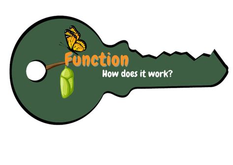 Ib Themes Elementaire Pdf