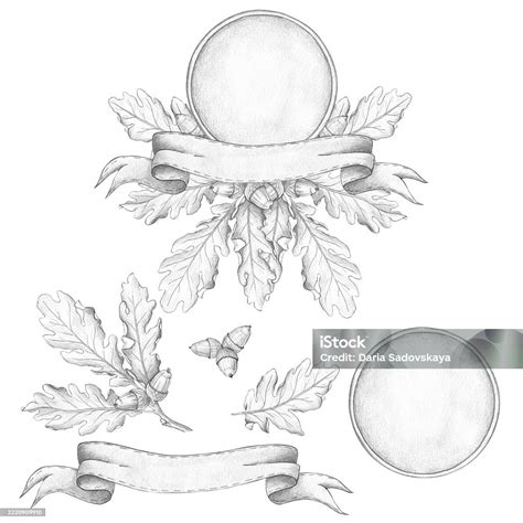 떡갈나무 잎과 도토리로 사진을 찍을 수 있는 화환으로 리본으로 장식되어 있고 흰색 배경에 강조 표시되어 있습니다 구성 템플릿 참나무 단풍 가계도 참나무 껍질 가족 연필