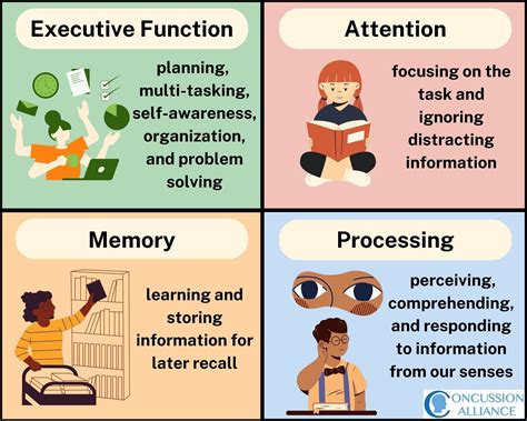 Cognitive Dysfunction After Concussion — Concussion Alliance