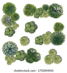 Tree Top View Watercolor Images Stock Photos Vectors Shutterstock