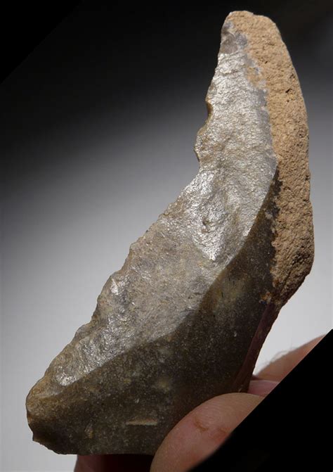 Superb Neanderthal Mousterian Naturally Backed Knife Flake Tool From
