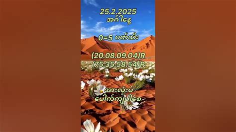 25 2 2025 အဂ်ါနေ့အတွက် 2dlive Popular Automobile Shorts Views Views 2d 2dတွက်နည်း Youtube