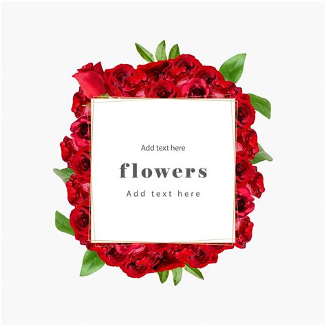 Premium Vector Watercolor Leabes With Frame