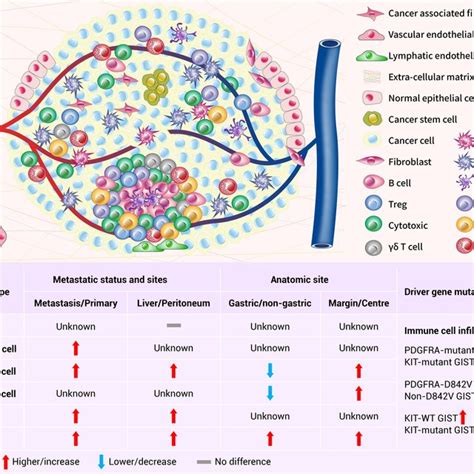 Nih Fletcher Criteria For Gist Risk Assessment Download Table