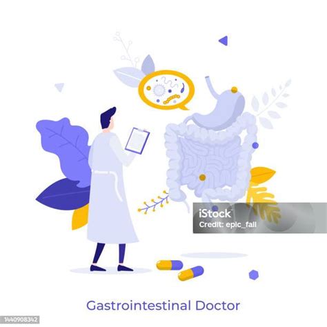 위장병 전문의 의사 또는 위장관을 보는 의사 위장병 학 소화 시스템 질병 또는 장애 진단의 개념 현대 평면 다채로운 벡터 그림입니다 의사에 대한 스톡 벡터 아트 및 기타