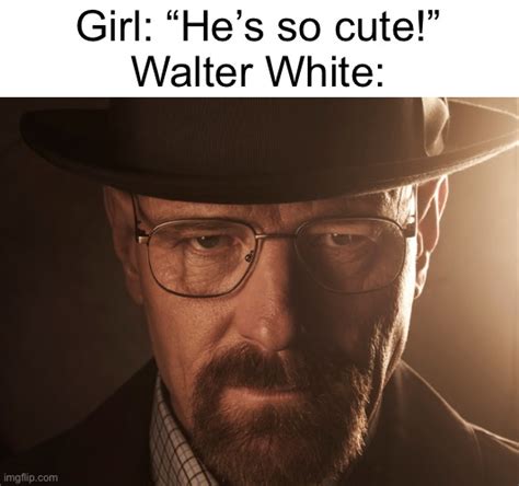 Breaking Bad Meme Walter