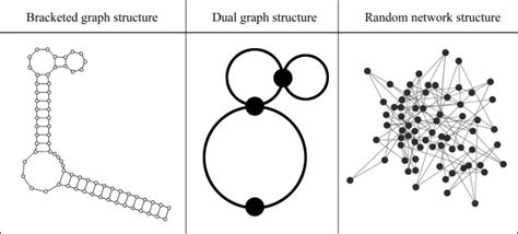 Three Representations Of Rna Secondary Structure For Human Precursor