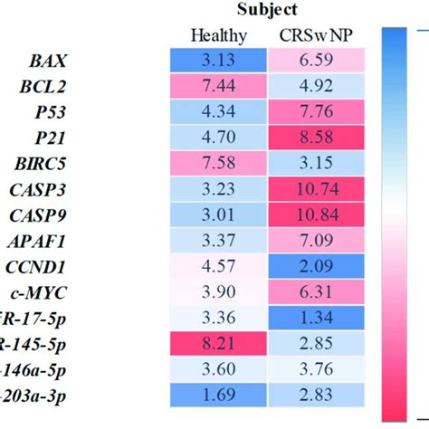 summary of the obtained transcripts expression profiles heatmap