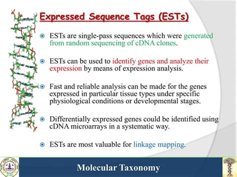 Molecular Taxonomy Pptx