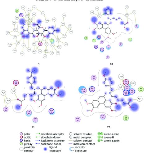 Docked Pose And Binding Affinity Of Compounds 1 And 20−22 Download