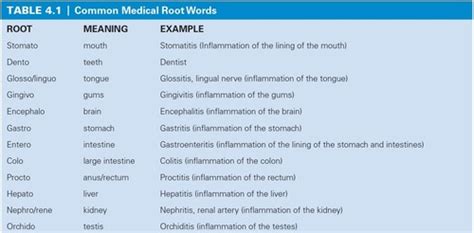 Medical Terminology Ch 1 Introduction Flashcards Quizlet