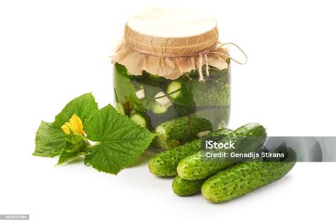 갓소금에 절인 오이 블랙 커 런 트 잎 마늘과 소금 마리 네 이드 에 딜 흰색 배경에 고립 갈색에 대한 스톡 사진 및 기타 이미지 Istock