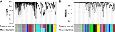 Clustering Dendrograms Notes A Clustering Dendrograms Of Degs B