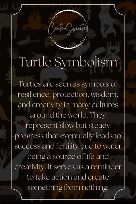 Turtle Symbolism And Spiritual Meaning