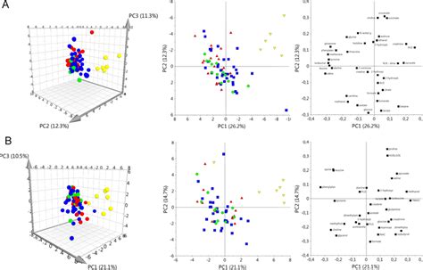 The PCA Results Obtained Using Quantified Metabolites Signal Areas Download Scientific