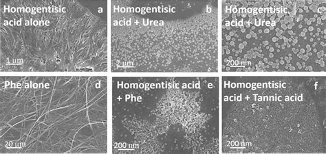 Figure 3 From Self Assembly Of Homogentisic Acid May Have Implications