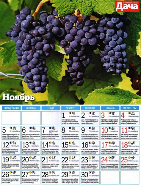 Лунный посевной календарь на 2018 год Календарь Календарь садовода Садоводство