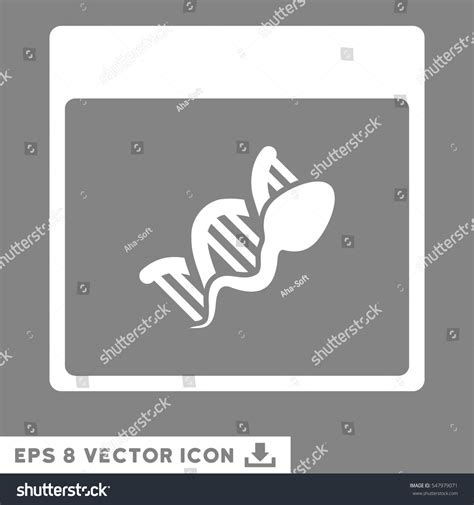 Sperm Dna Replication Calendar Page Icon Stock Vector Royalty Free
