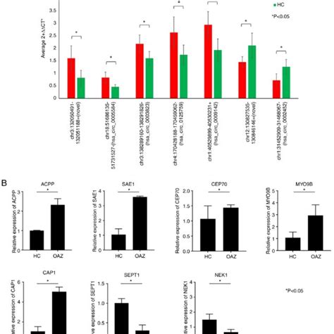 Rt Qpcr Results A Rt Qpcr Validation Results Of Exosomal Circrnas