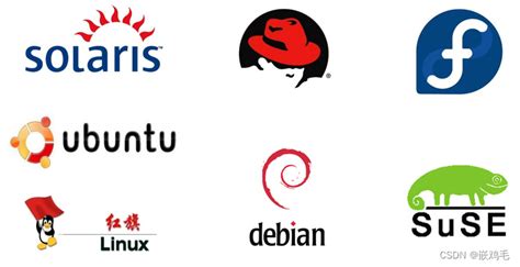 Linux入门及常用命令嵌入式开发必学 Csdn博客