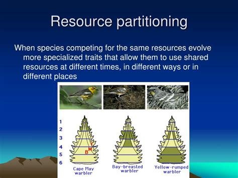 Resource Partitioning Definition Biology Example At Robert Suarez Blog