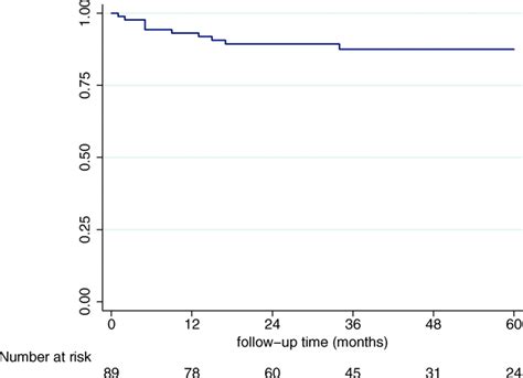 The Kaplan Meier Curve Of Global Survival Estimates Patients At Risk
