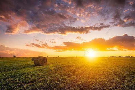 Haystacks At Sunset For Animal Feed Procurement Agriculture Stack Grass