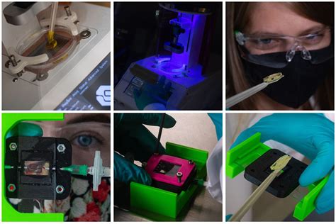 Rice Team Creating Insulin Producing Implant For Type 1 Diabetes Rice