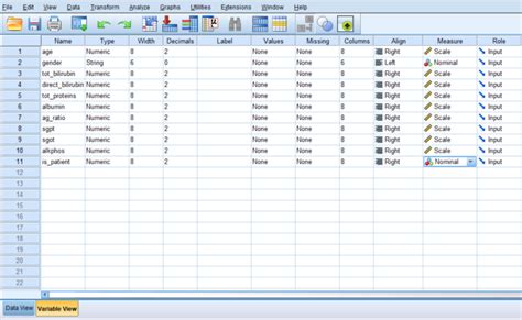 Tutorial Transformasi Data Dengan Spss Part 2 Exsight