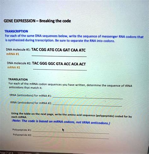 Gene Expression Breaking The Code Transcription For Each Ofthe Same Dna Sequences Below Write