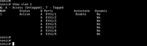 Dell Networking S Series Basic Interface Configuration SONIC Dell US