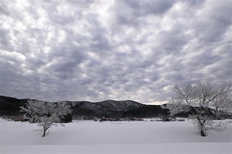 源爺の写真館