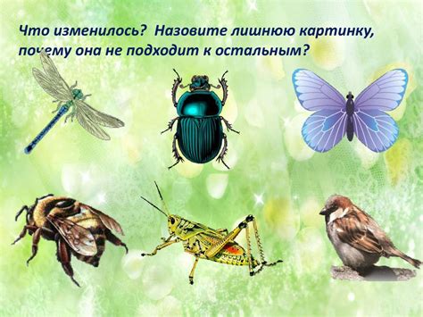 Коррекционное занятие по развитию познавательных процессов «Путешествие по временам года