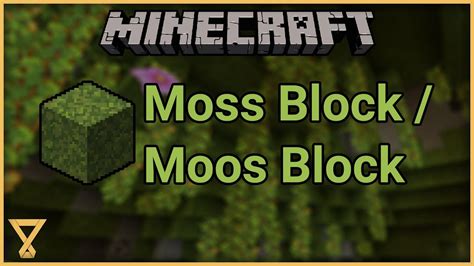 How Do You Make A Moss Block In Minecraft At Tracy Mcfall Blog