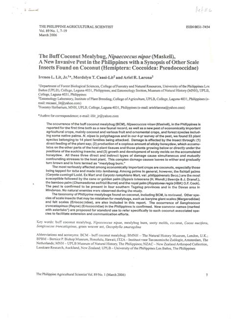 Pdf The Buff Coconut Mealybug Nipaecoccus Nipae Maskell A New