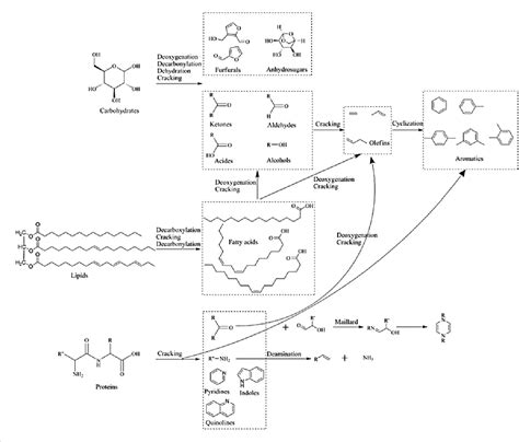 Figure 6 From Pyrolysis Of Microalgae Chlorella Sp Using Activated Carbon As Catalyst For