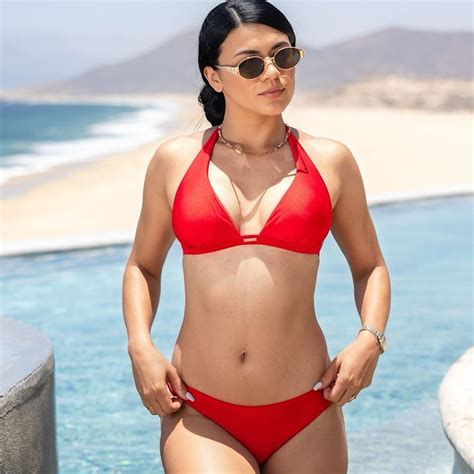 Cindy Classic Bikini Bottom Red Monarch Wolf And Badger
