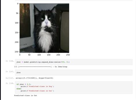 Github Dkaul09dogcatclassifier A Dog And Cat Classifier That Is