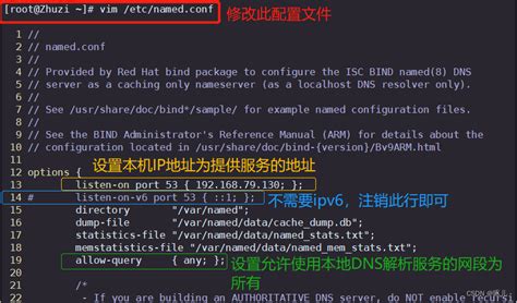linux中dns域名解析服务（附dns正反向解析实验及主从域名服务器实验详细过程） dnsmasq 反向解析 csdn博客