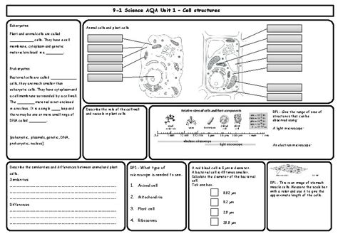 Science AQA Unit Cell Structures