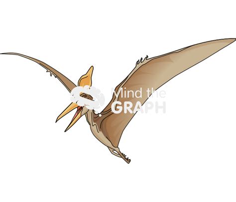 Free Pterodactyl Icons Symbols Pictures And Images Mind The Graph